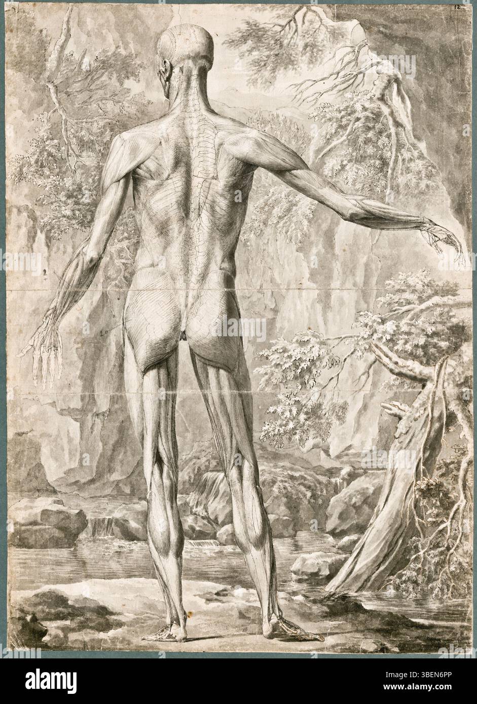 This preparatory drawing by Jan Wandelaar, created for Bernhard ...