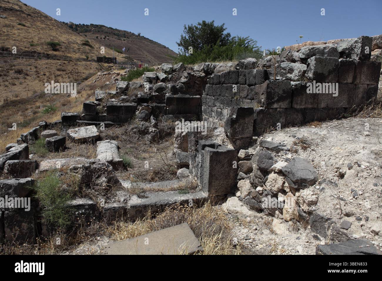 Lions funerary monument hi-res stock photography and images - Alamy