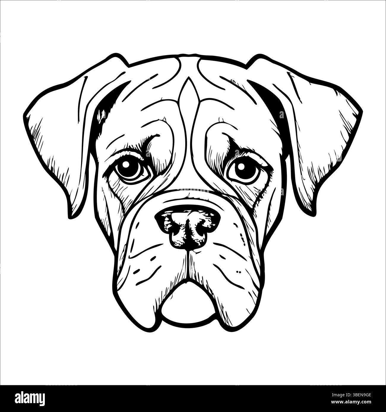 A detailed illustration of a large, muscular dog with a broad head and ...