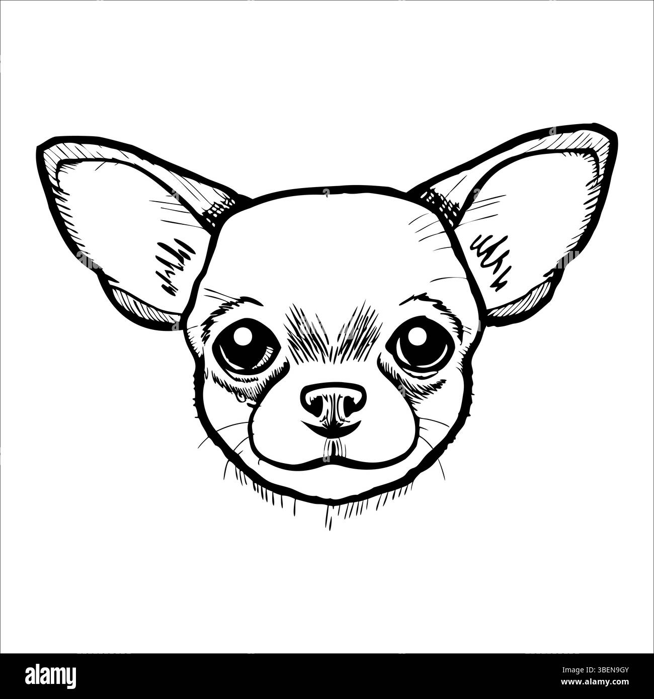 Domesticated features Black and White Stock Photos & Images - Alamy