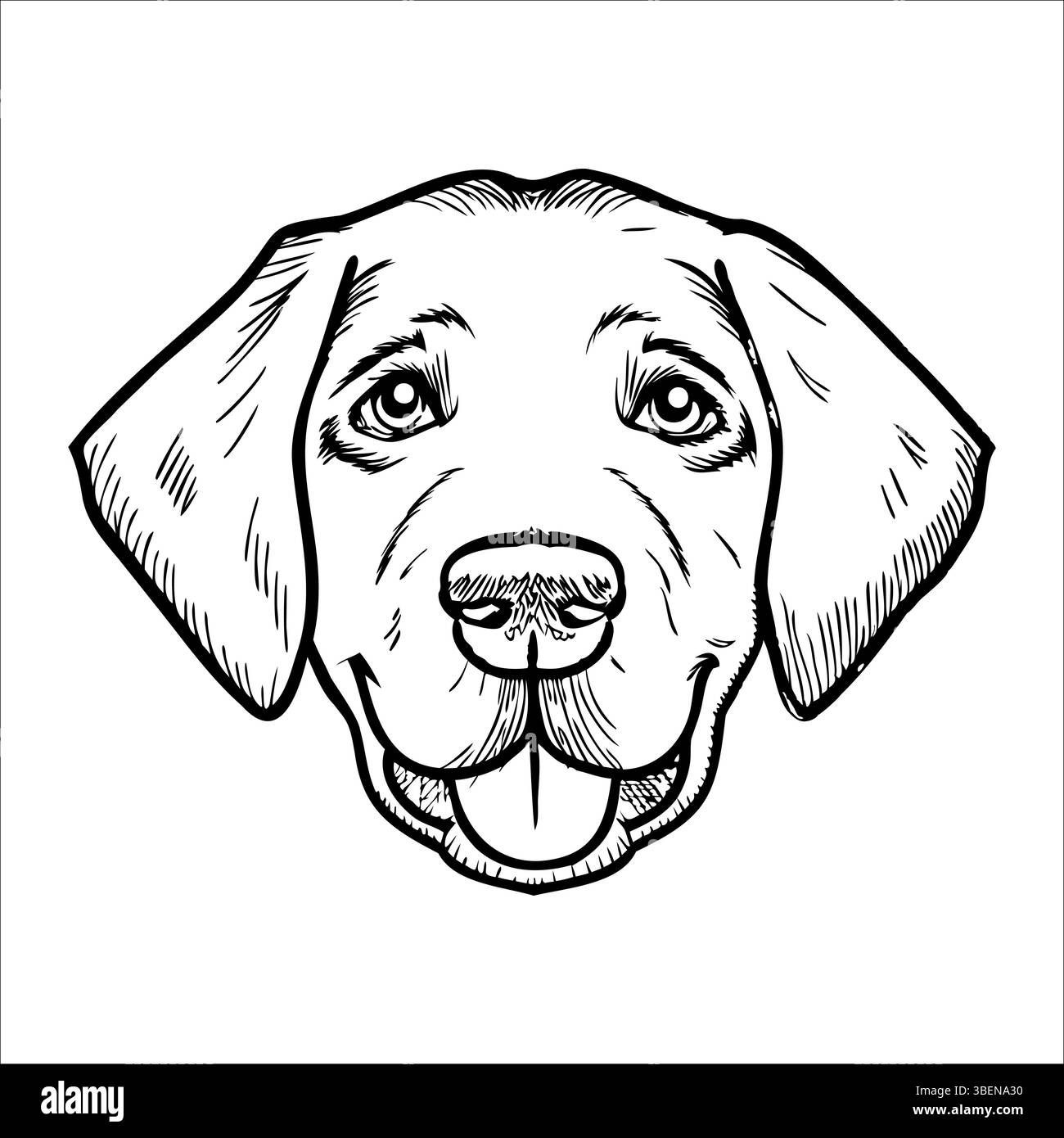 Dog breeds with floppy ears Stock Vector Images - Alamy