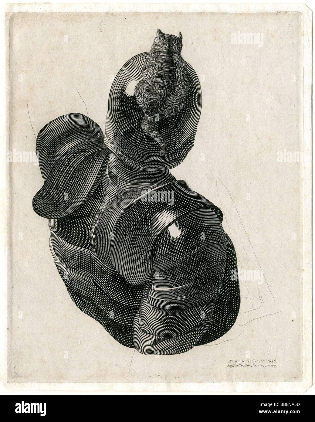 'Armour' by Enrico Terreni is a depiction of historical armor, created ...