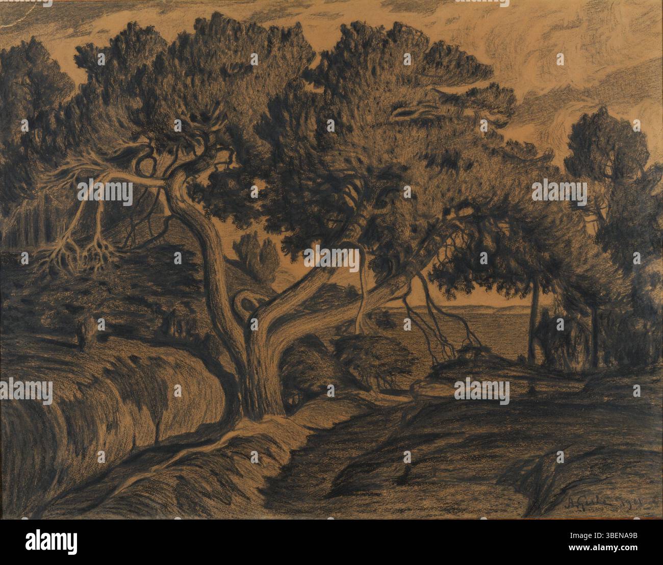 Aron Gerle’s 1901 painting, Pine Tree in the Archipelago, depicts a ...