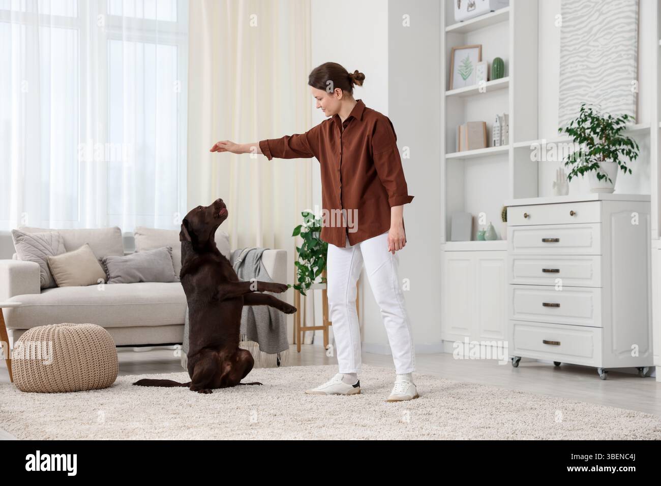 Beautiful female dog trainer hi-res stock photography and images - Alamy