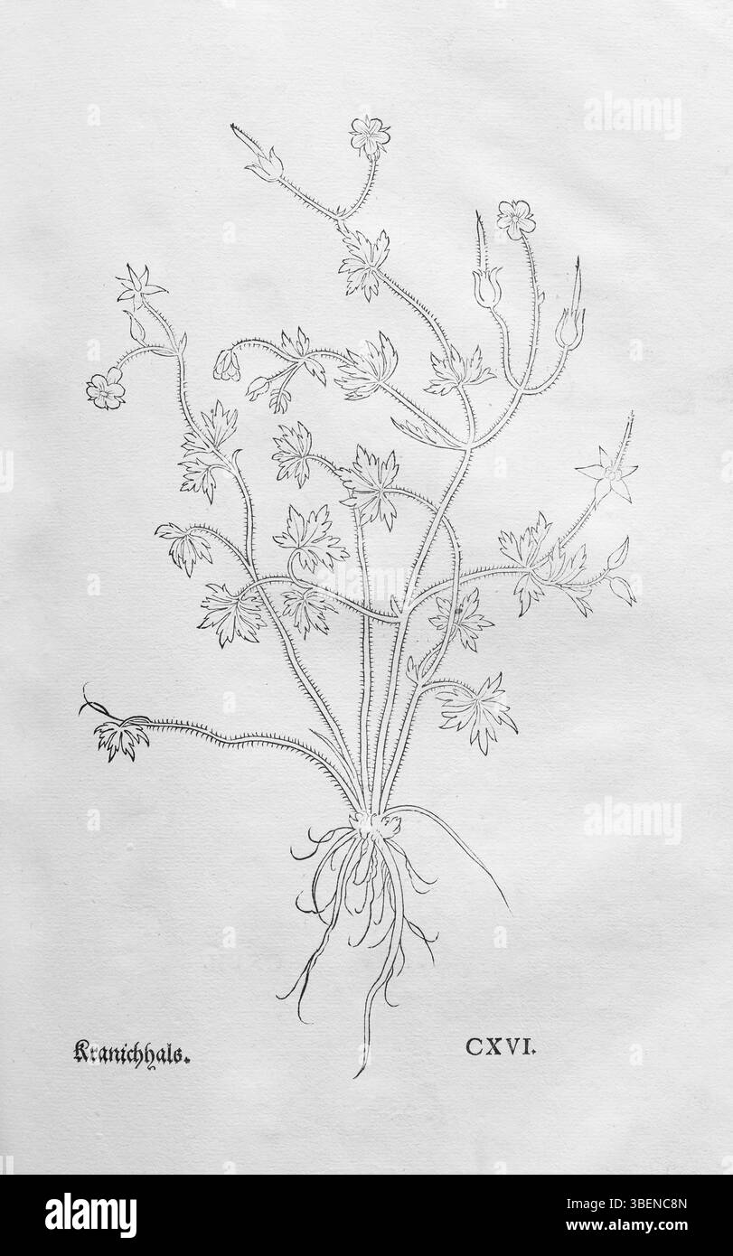 Michael leonhart Black and White Stock Photos & Images - Alamy