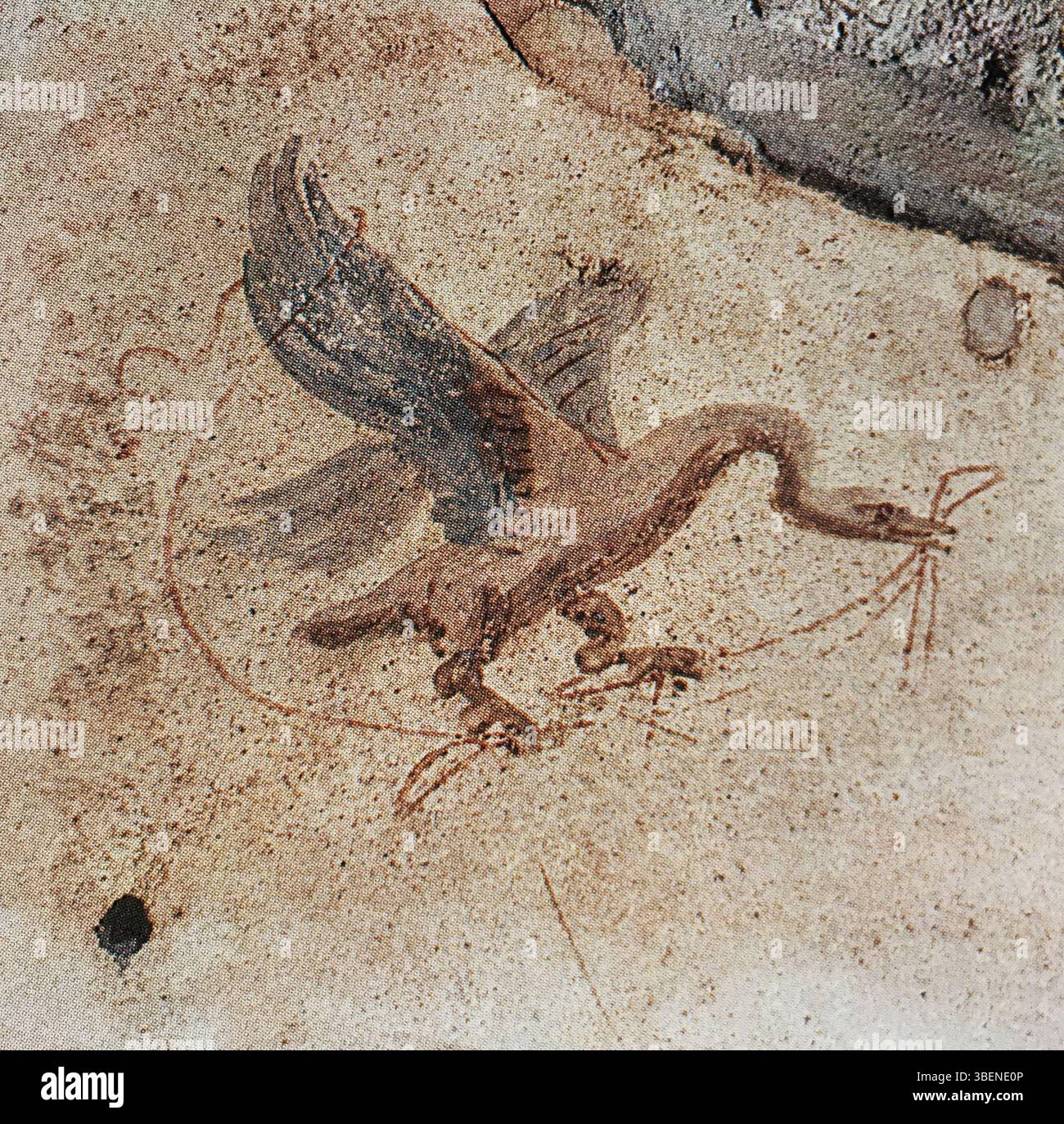 This fresco from the North Wall of Cubiculum C in the House of the ...