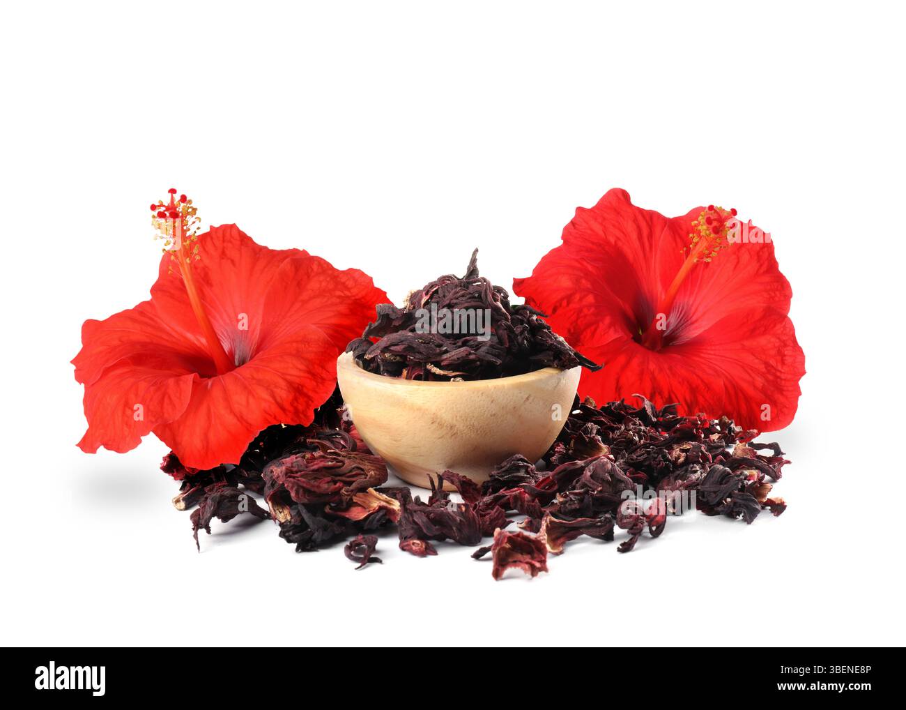 Red hibiscus flowers and dried calyces on white background Stock Photo ...