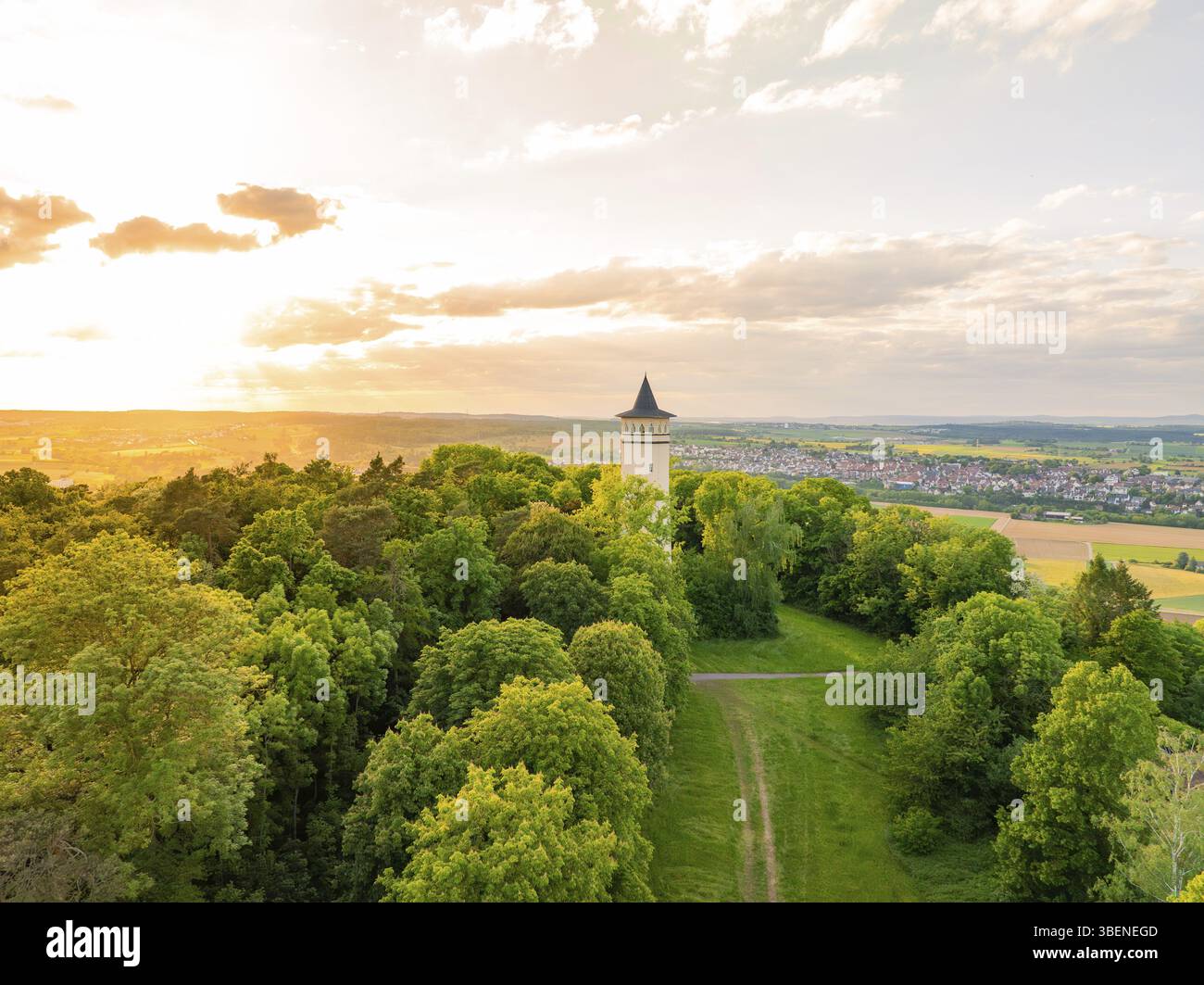 Tower at the edge of the forest, framed by trees, in the soft light of ...