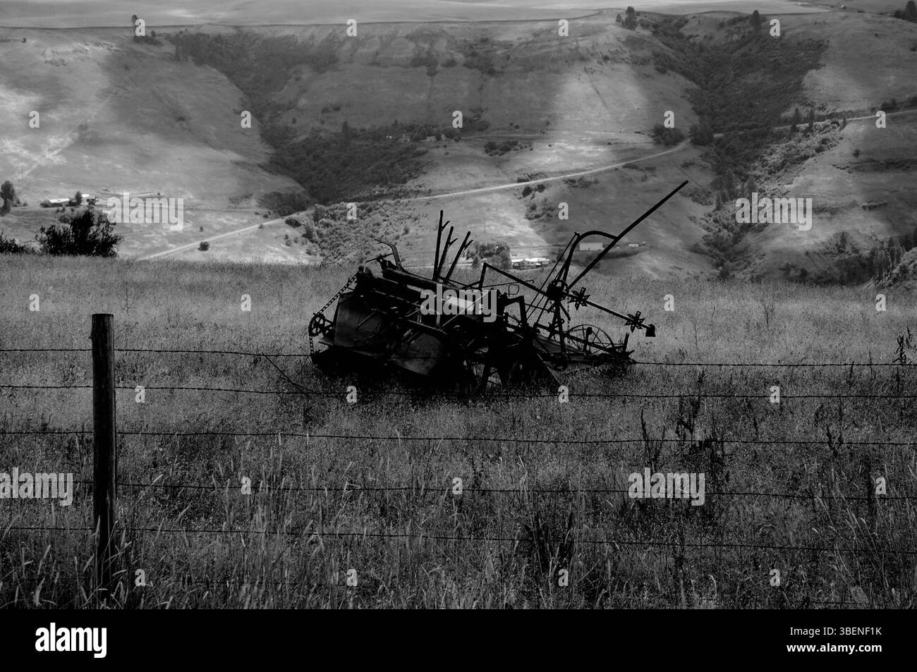 Fix Ridge /Latah County/Idaho/USA. 23.June 2018. Farm land and ...