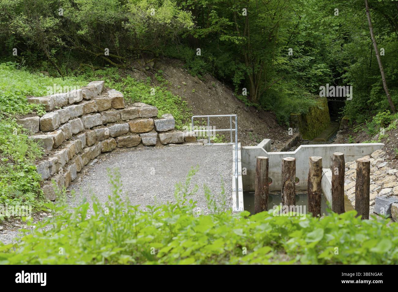 Wooden pile as flood protection, flood, stream, wall, barrier, heavy ...