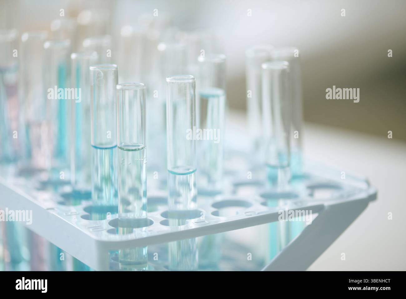 Rows of empty test tubes standing in rack in laboratory environment ...
