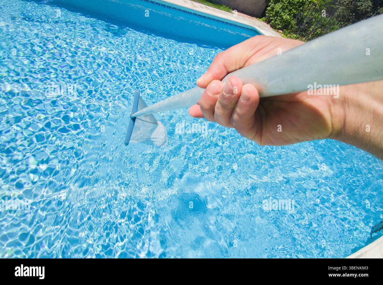 Worker cleaning surface of pool with scoop net. Collecting dirt and ...