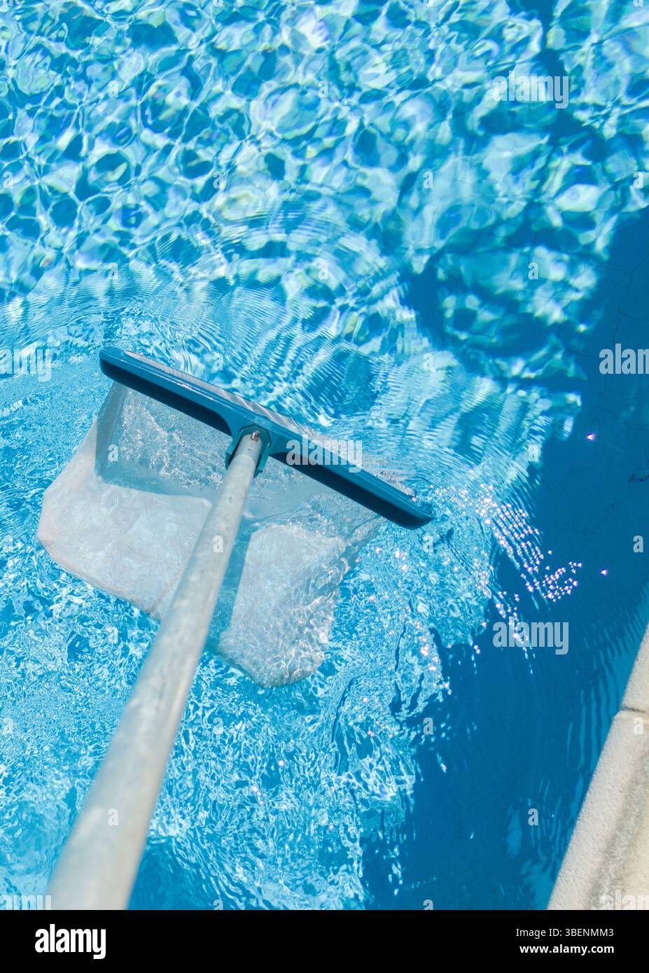 Worker cleaning surface of pool with scoop net. Collecting dirt and ...