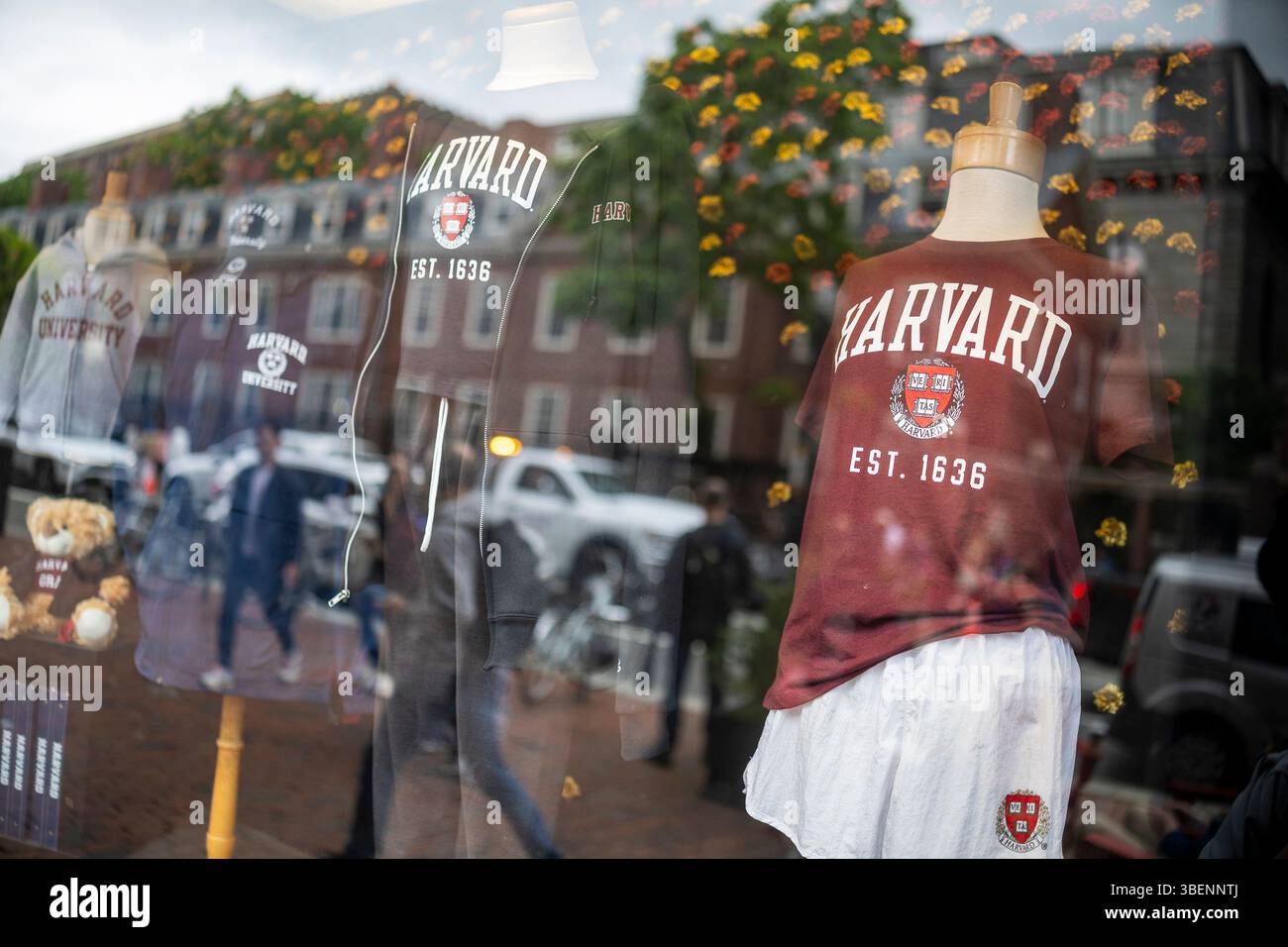 Cambridge, USA. 29th May, 2025. The Harvard University campus is ...