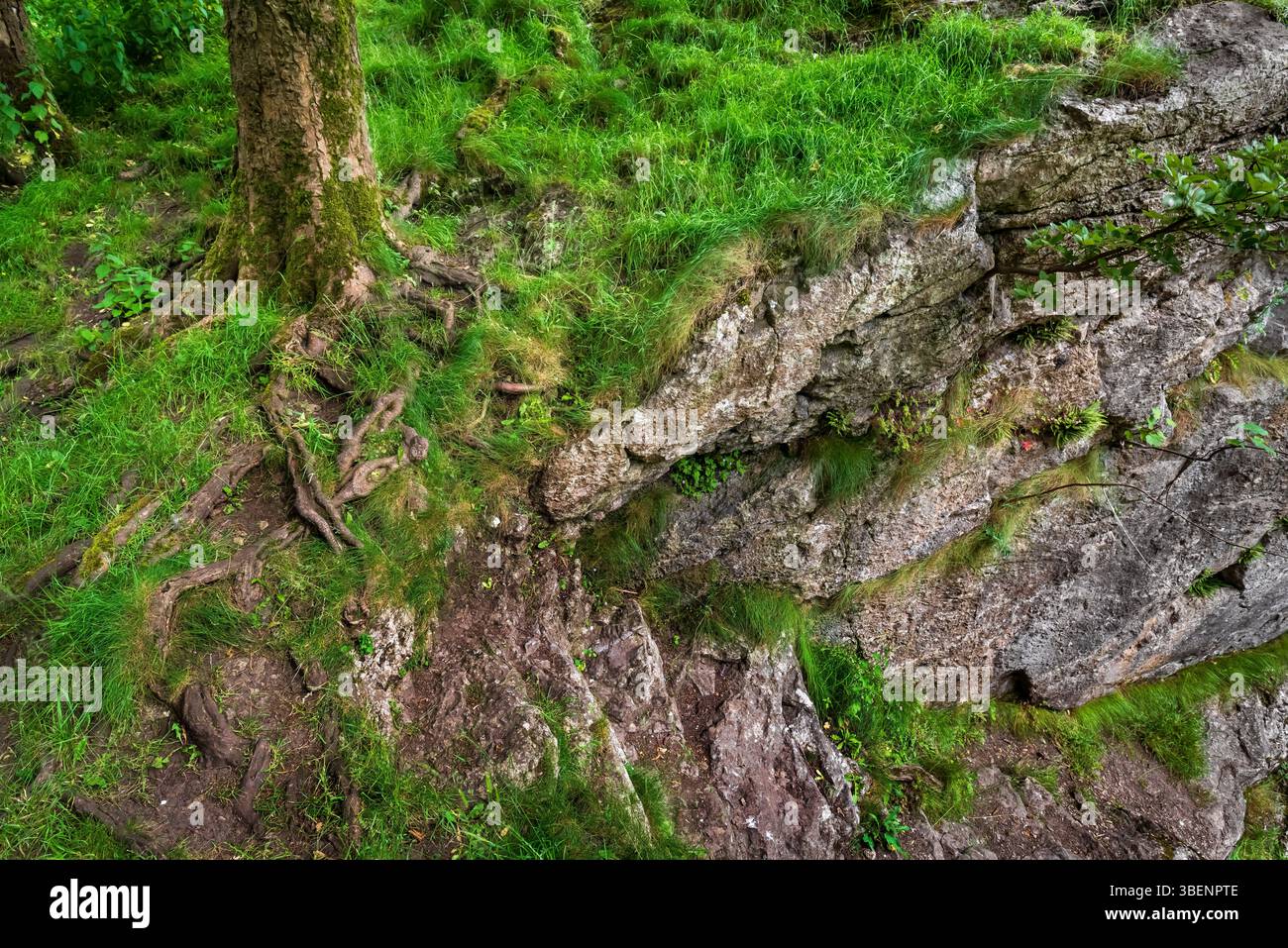 The limestone quarry near the base of Cave Dale in Castleton, with ...