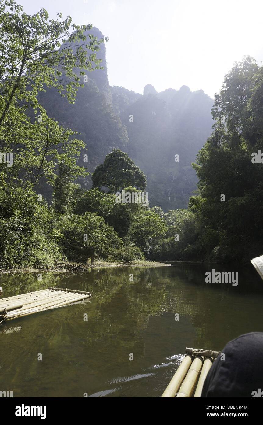 A raft on the river in the jungle Stock Photo - Alamy