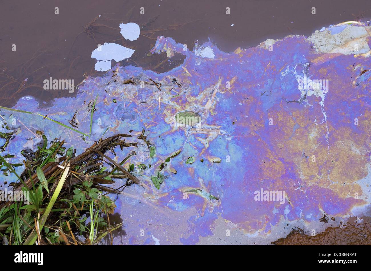 Oil slick on water Stock Photo - Alamy