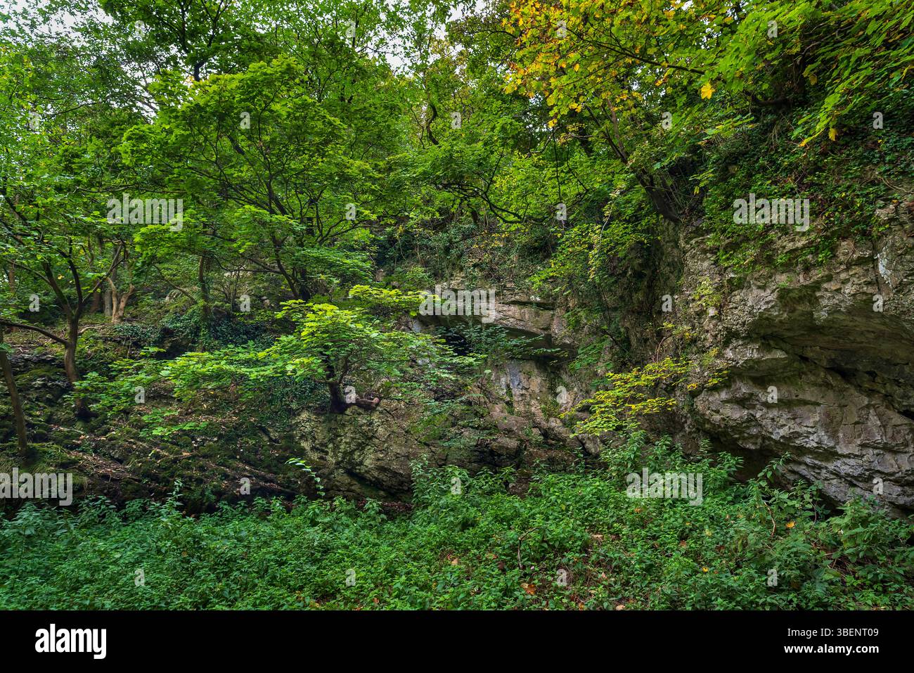 The quarried area around the entrance to Cave Dale Cave #1, a natural ...