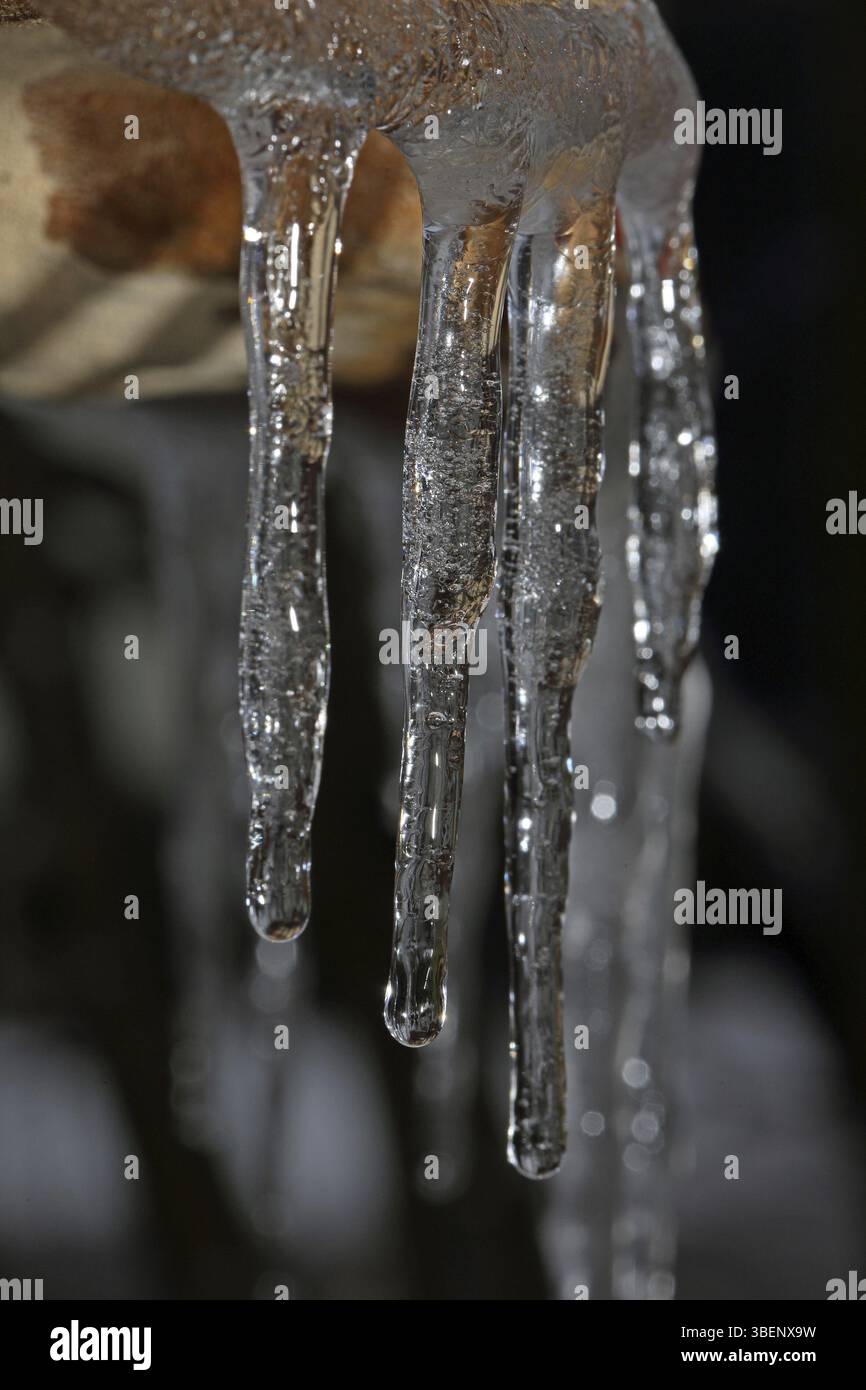 Icicle column hi-res stock photography and images - Alamy