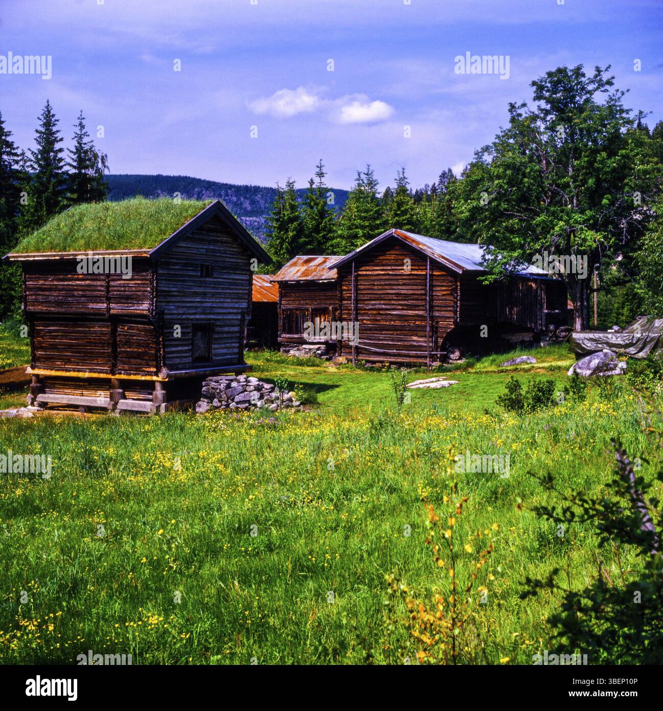 Traditional farmstead BUSKERUD norway Stock Photo - Alamy