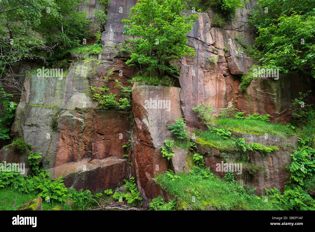 Parts of the abandoned working face at Bole Hill Quarry, where the ...