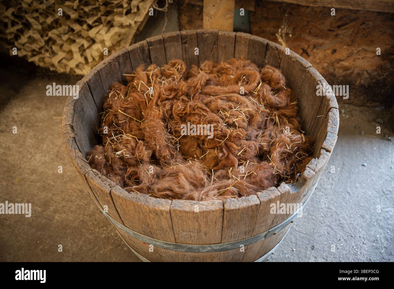 Raw Wool Collected in a Barrel on a Farm Stock Photo - Alamy