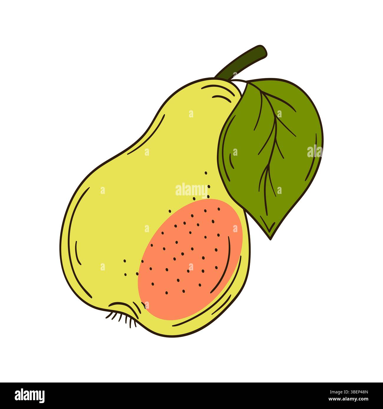 Cute fruit illustration in hand draw style. Pear icon on white ...