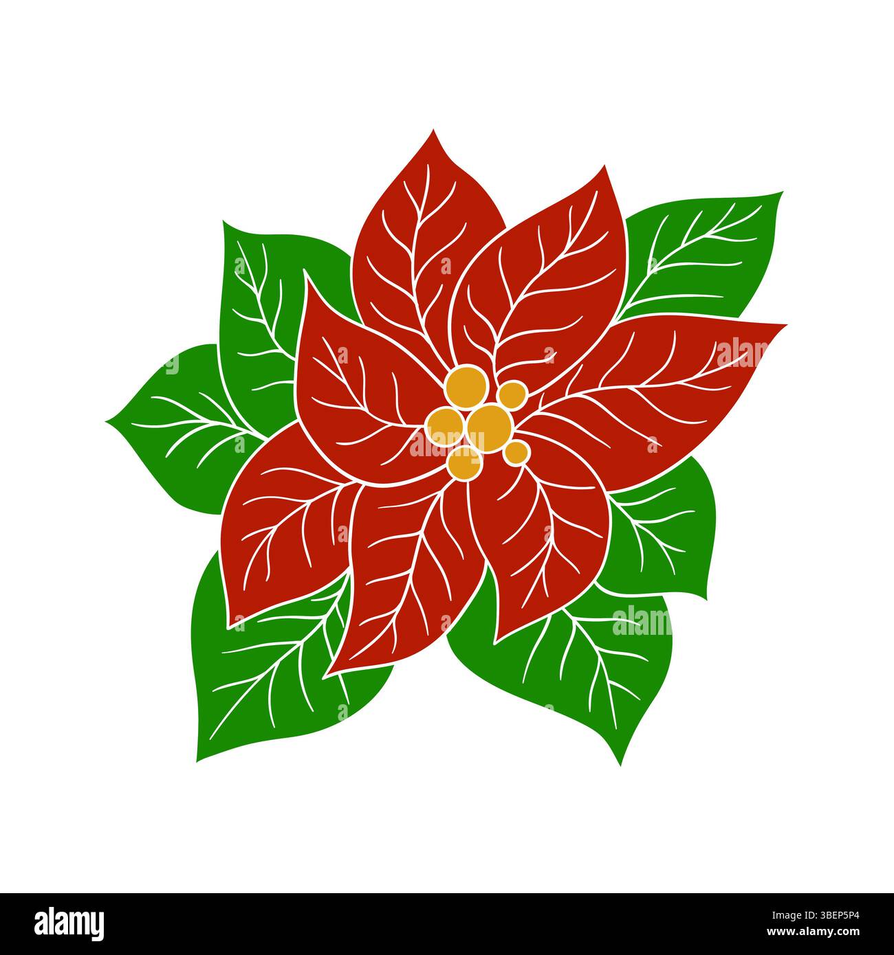White poinsettia in hand Cut Out Stock Images & Pictures - Alamy