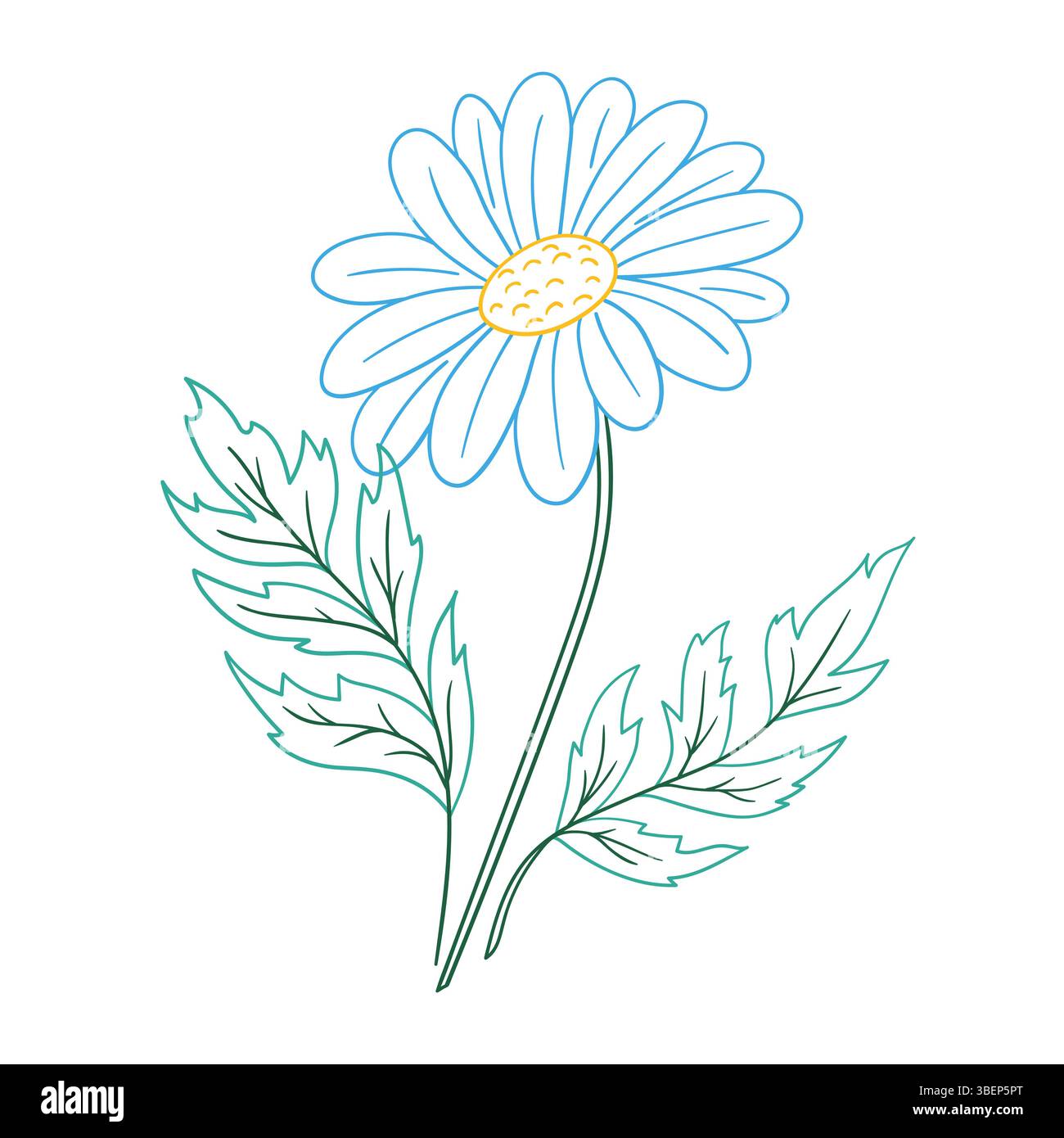 Cute flower illustration in hand draw style. Chamomile icon on white ...