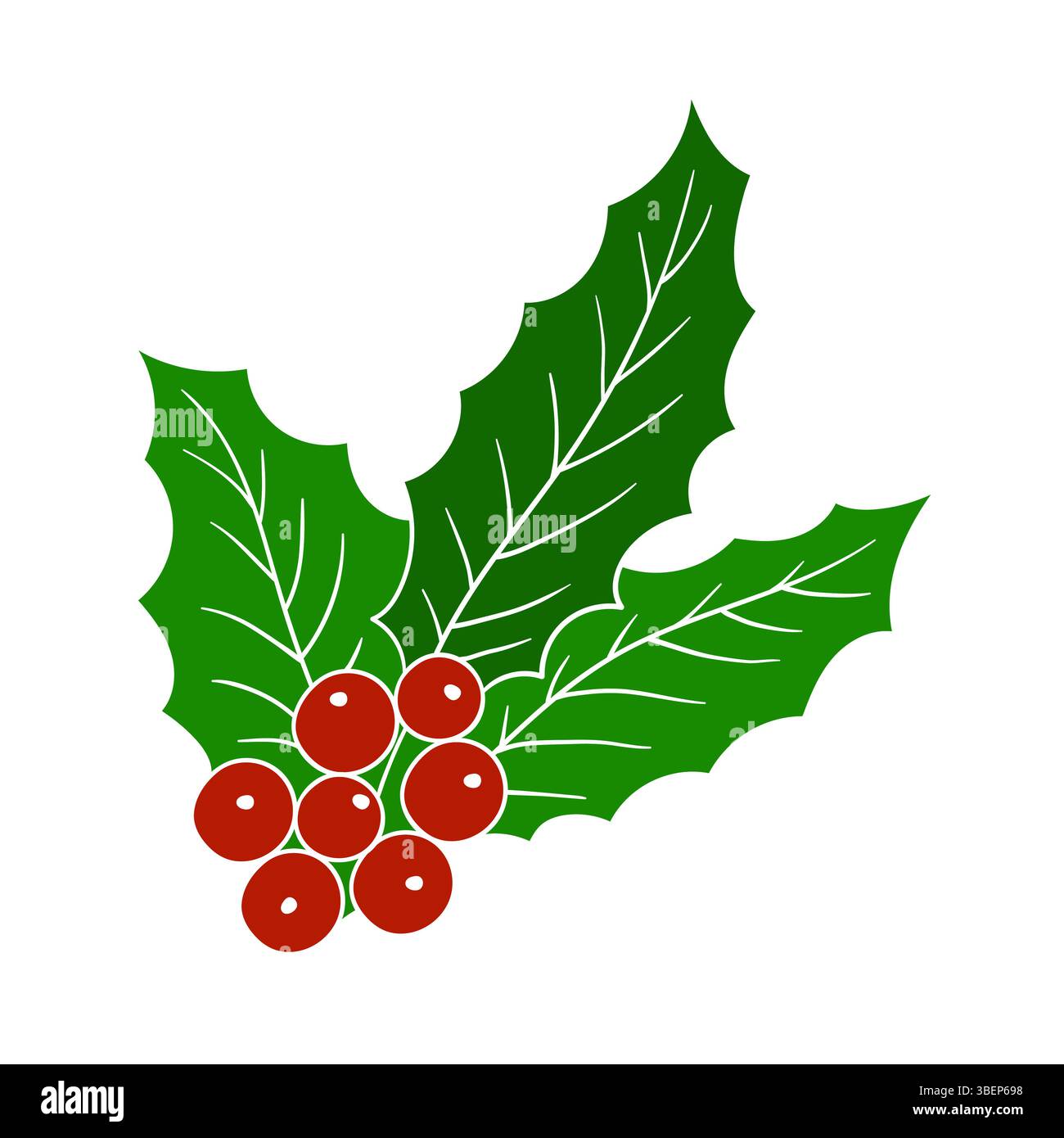 Holly on white background. Cute berry illustration in hand draw style ...