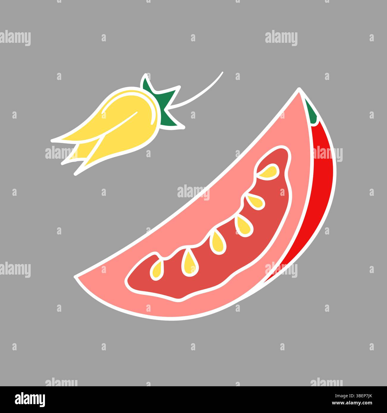 Cute vegetable illustration in hand draw style. Tomato icon on gray ...