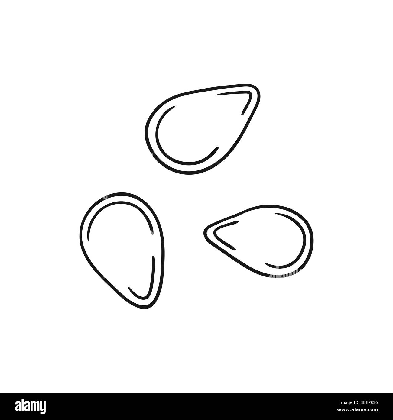 Cute vegetable illustration in hand draw style. Monochrome. Pumpkin ...