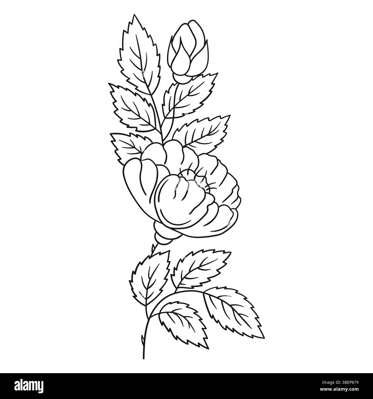 Cute flower illustration in hand draw style. Monochrome. Rosehip icon ...