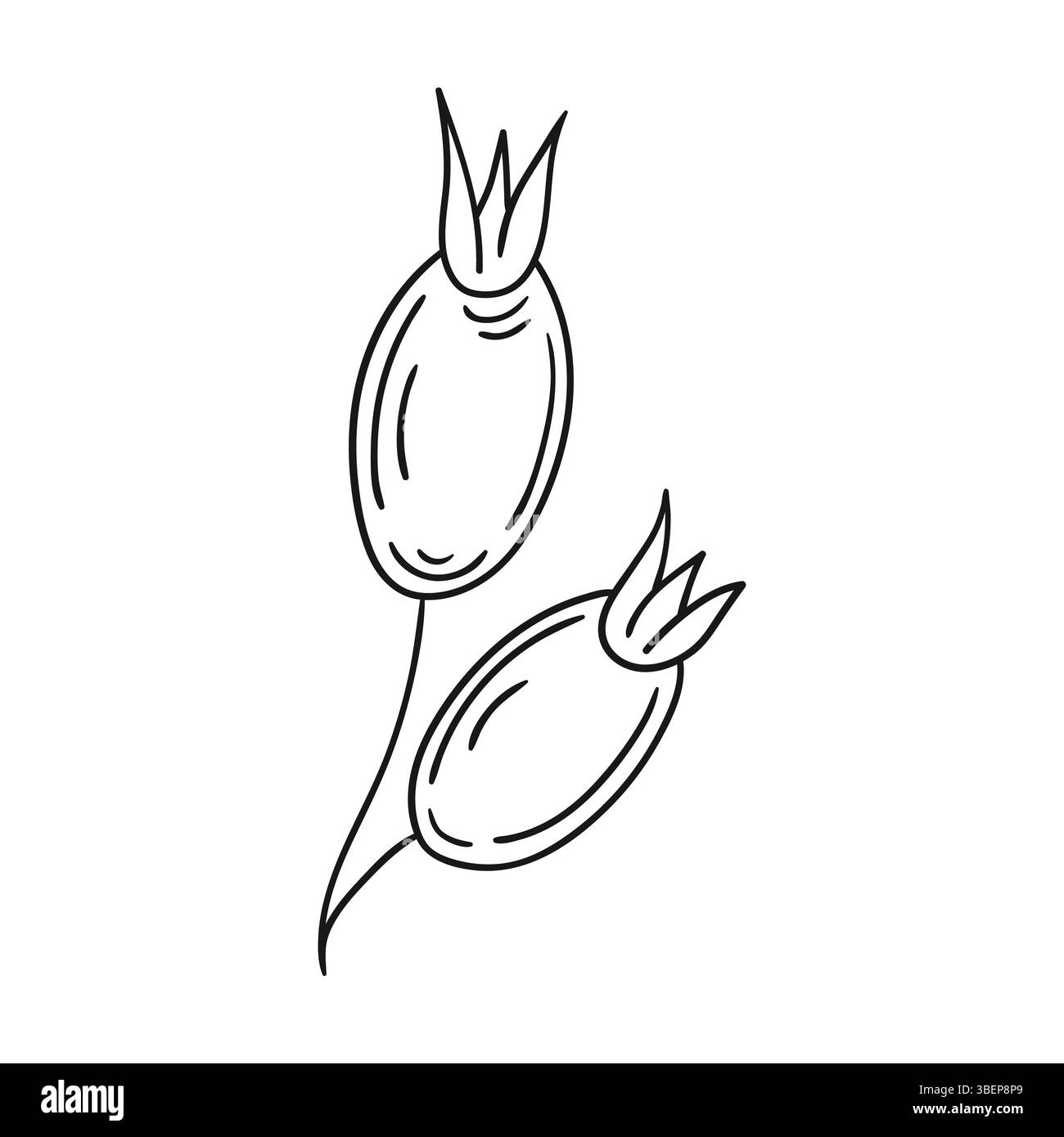Cute flower illustration in hand draw style. Monochrome. Rosehip icon ...
