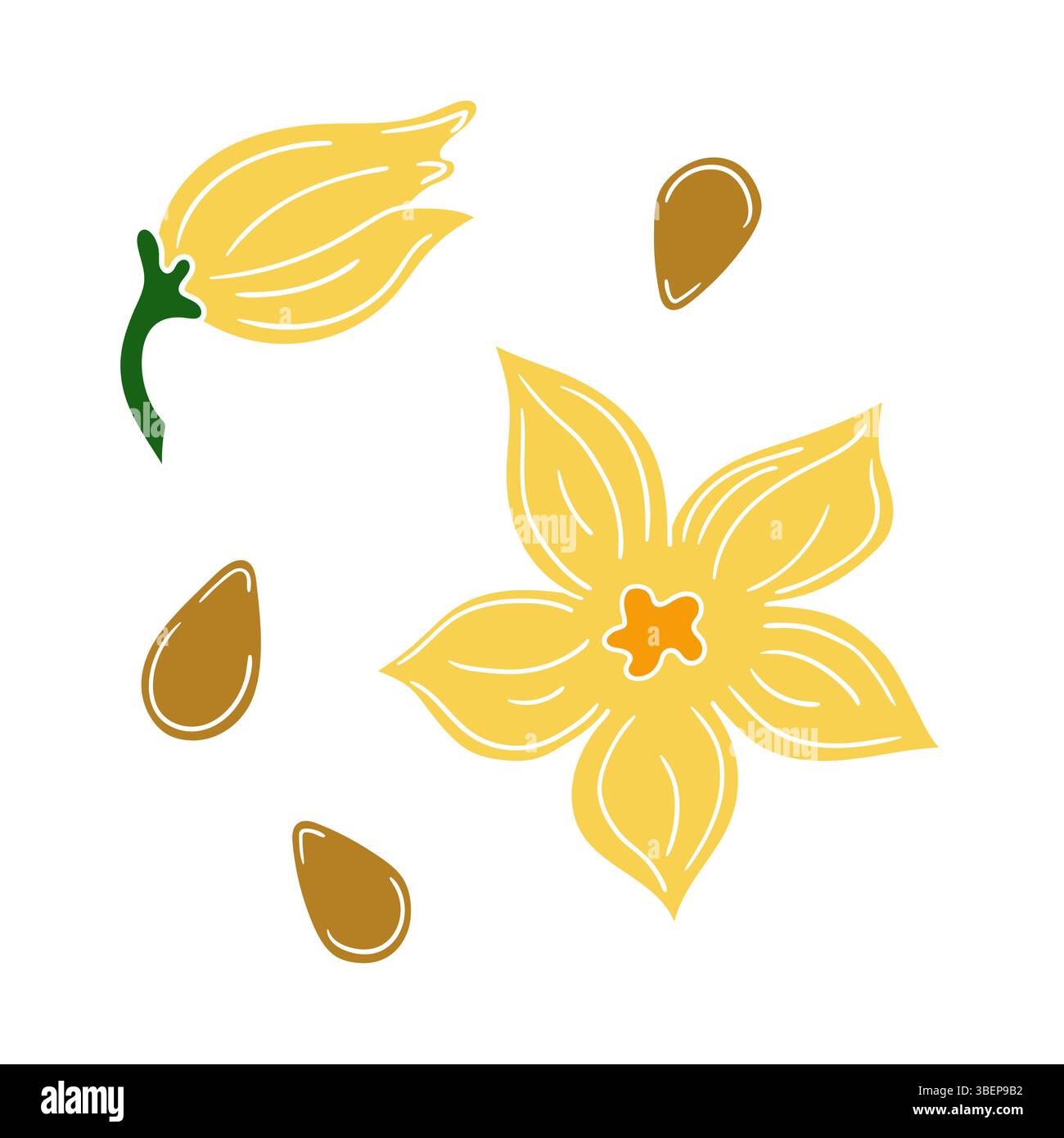 Cute vegetable illustration in hand draw style. Pumpkin seeds icon on ...