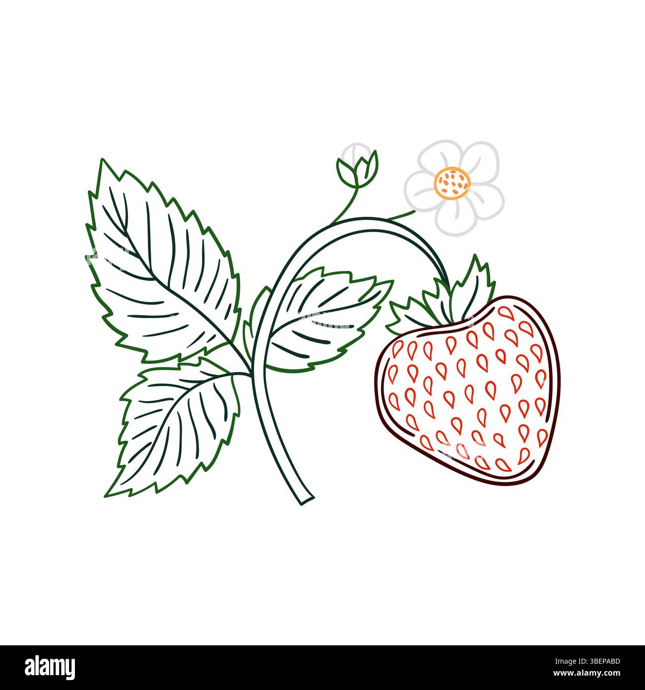 Cute berry illustration in hand draw style. Strawberry icon on white ...