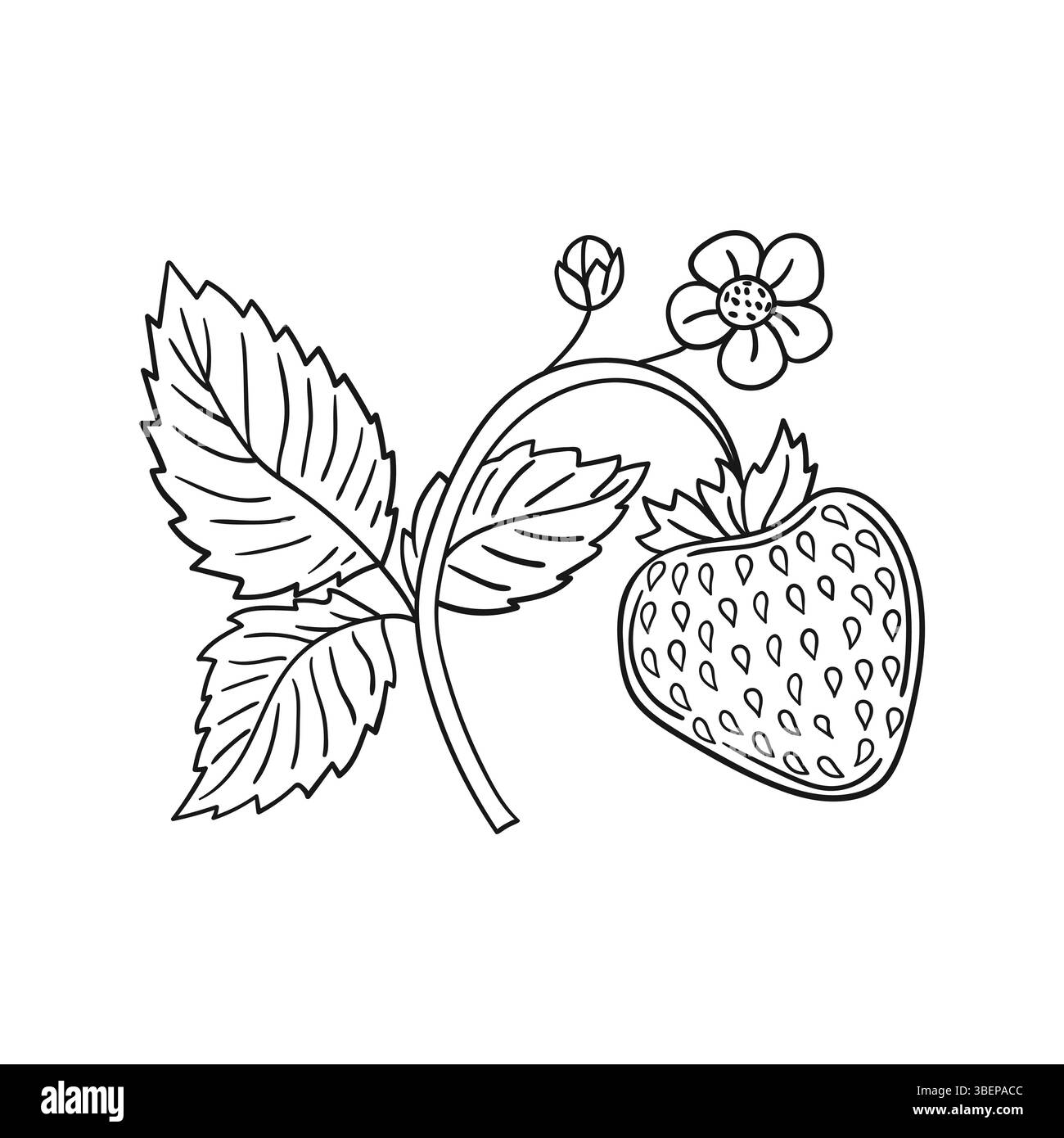 Cute berry illustration in hand draw style. Monochrome. Strawberry icon ...