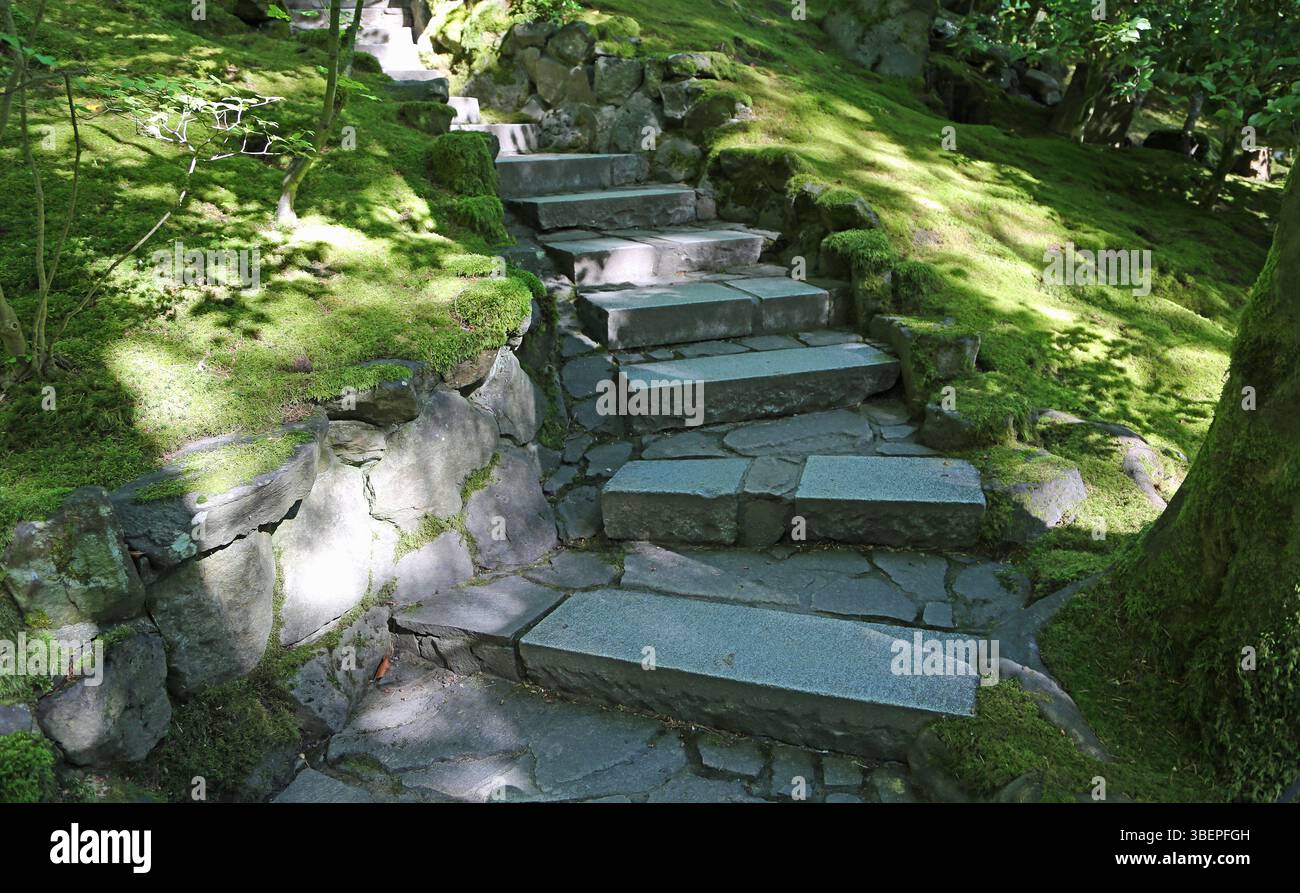 Stairs and moss - Portland Japanese Garden, Oregon Stock Photo - Alamy