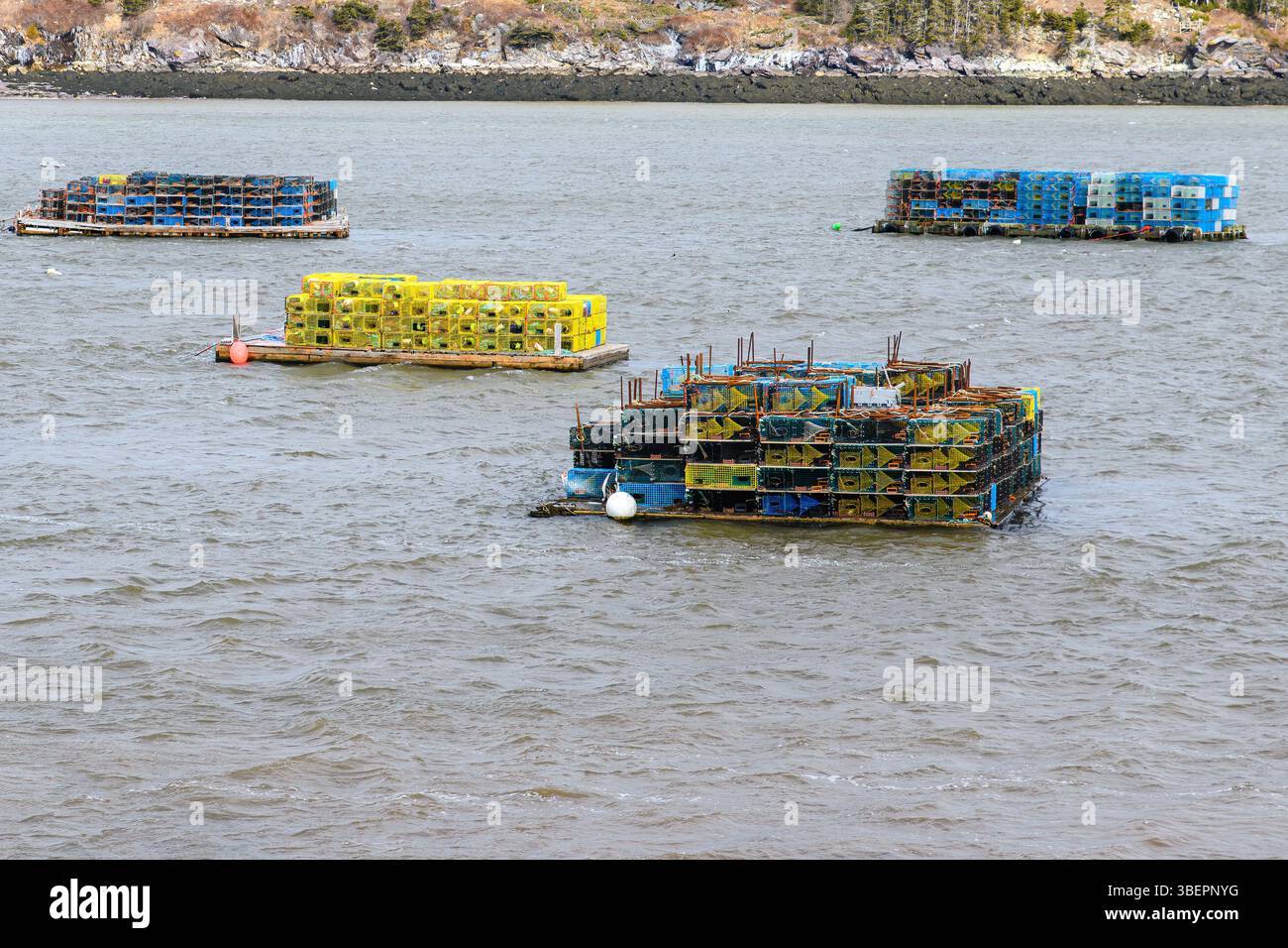 Lobster traps on small floating barges in a harbor. There are four ...