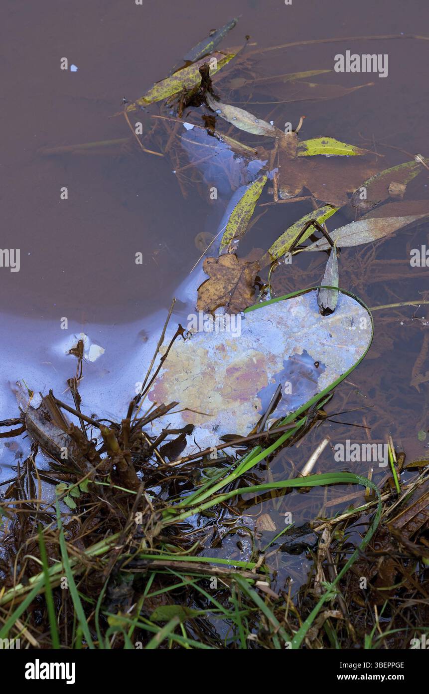Oil slick on water Stock Photo - Alamy