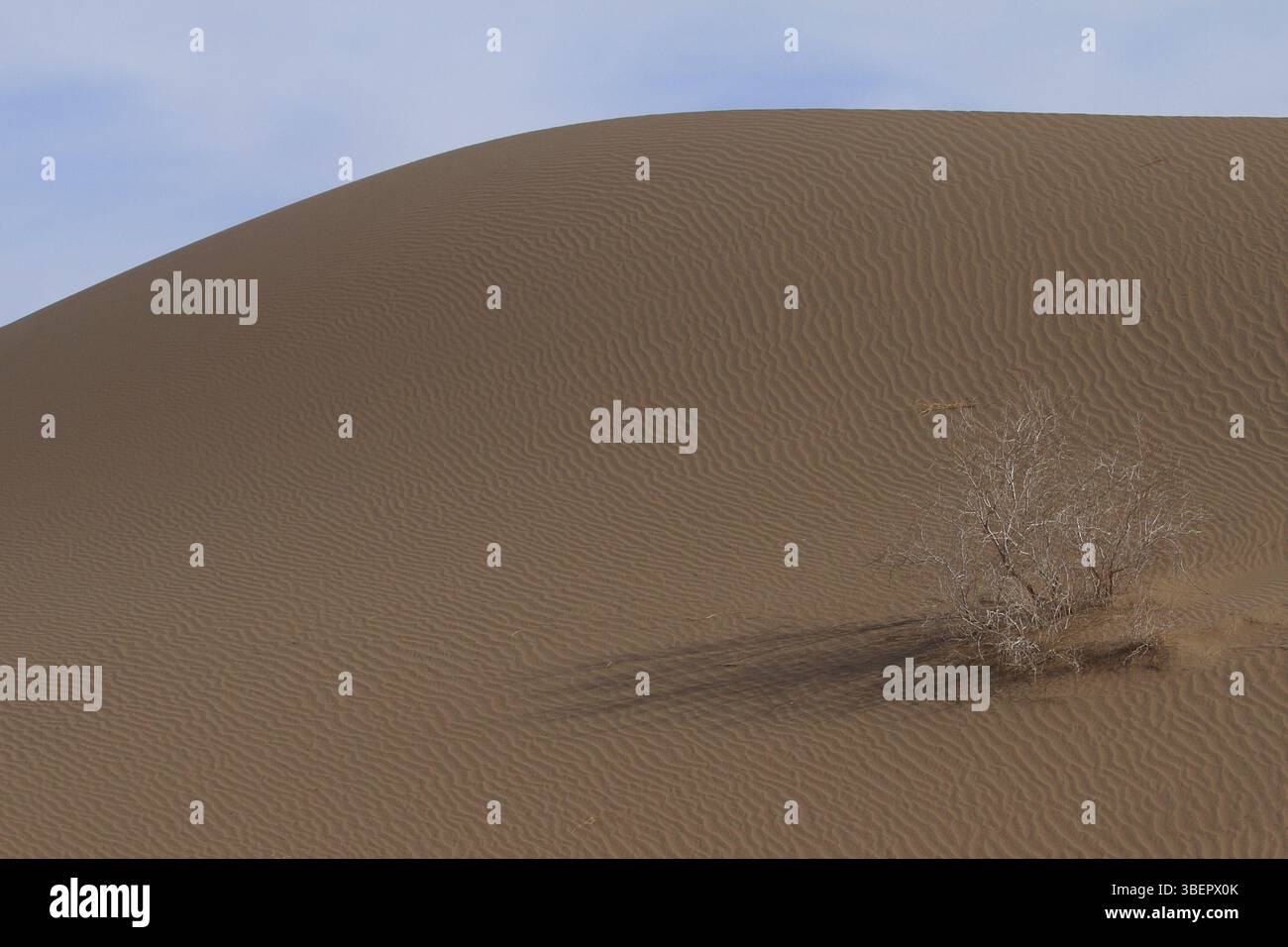Desert landscape, Dashd-e-Kavir, Iran, Asia Stock Photo - Alamy