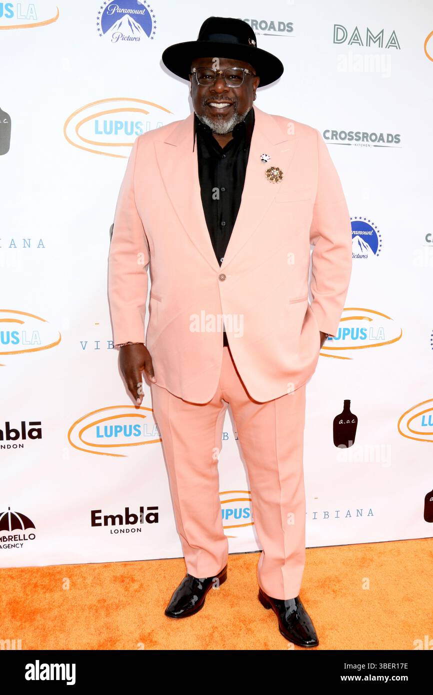 Lupus LA For a Cause at Vibiana on April 27, 2025 in Los Angeles, CA ...