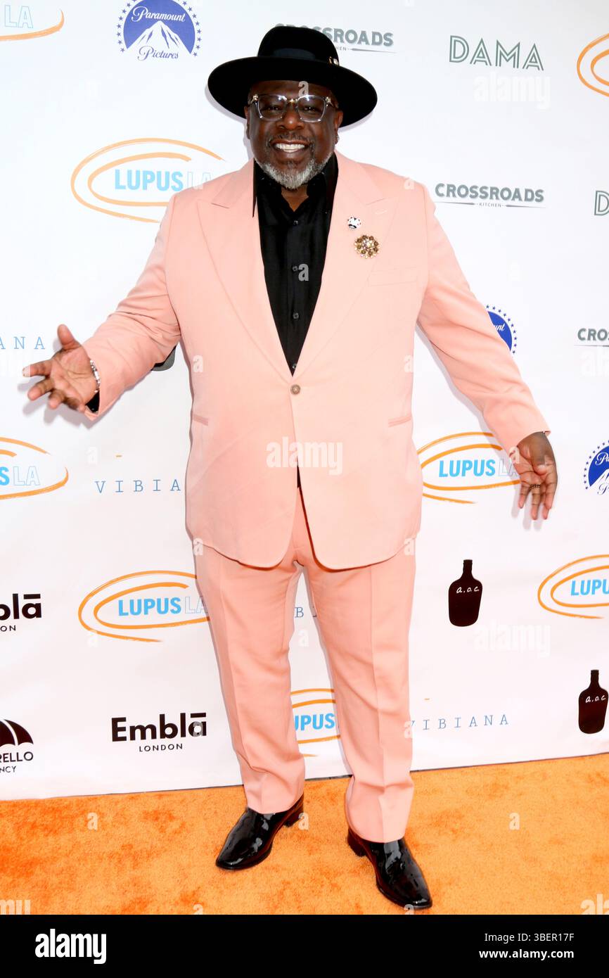 Lupus LA For a Cause at Vibiana on April 27, 2025 in Los Angeles, CA ...