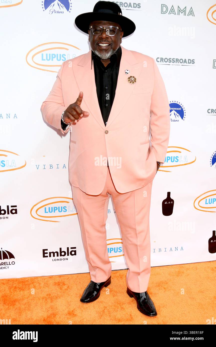 Lupus LA For a Cause at Vibiana on April 27, 2025 in Los Angeles, CA ...