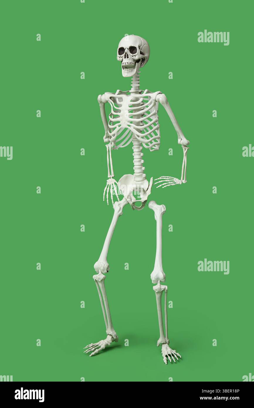 Scary human skeleton on green background Stock Photo - Alamy