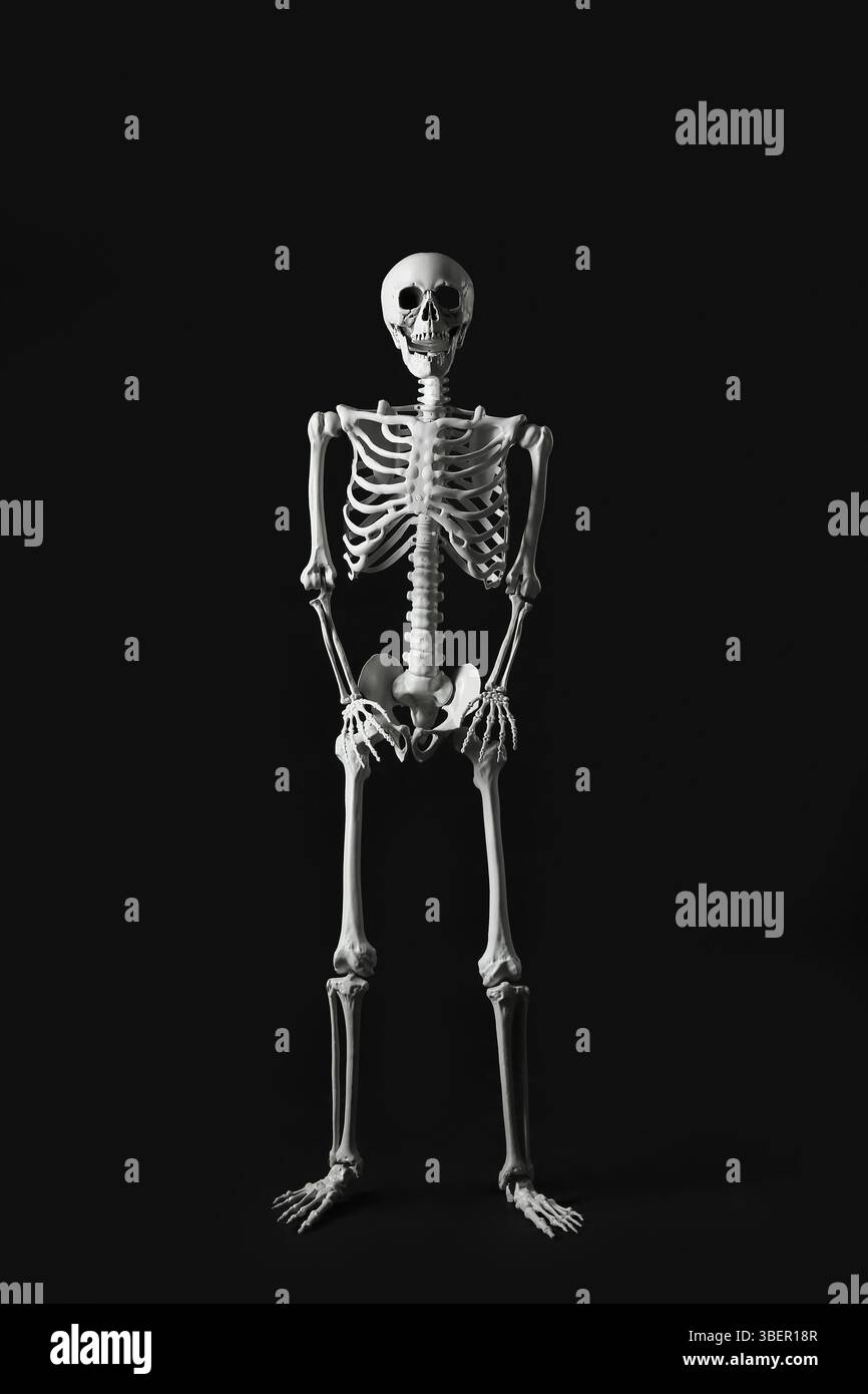 Scary human skeleton on black background Stock Photo - Alamy