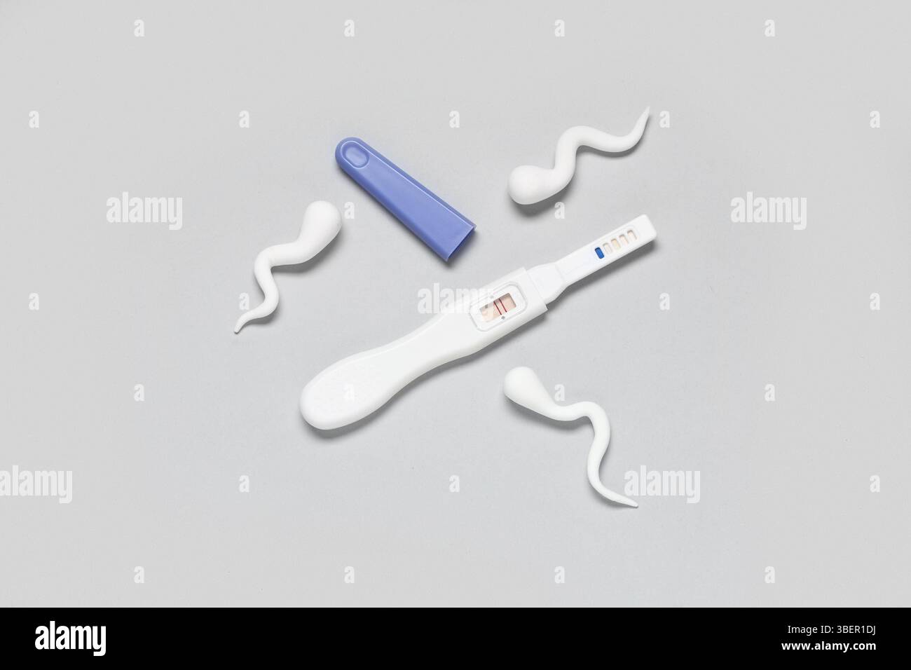 Sperm cells and pregnancy test on grey background Stock Photo - Alamy
