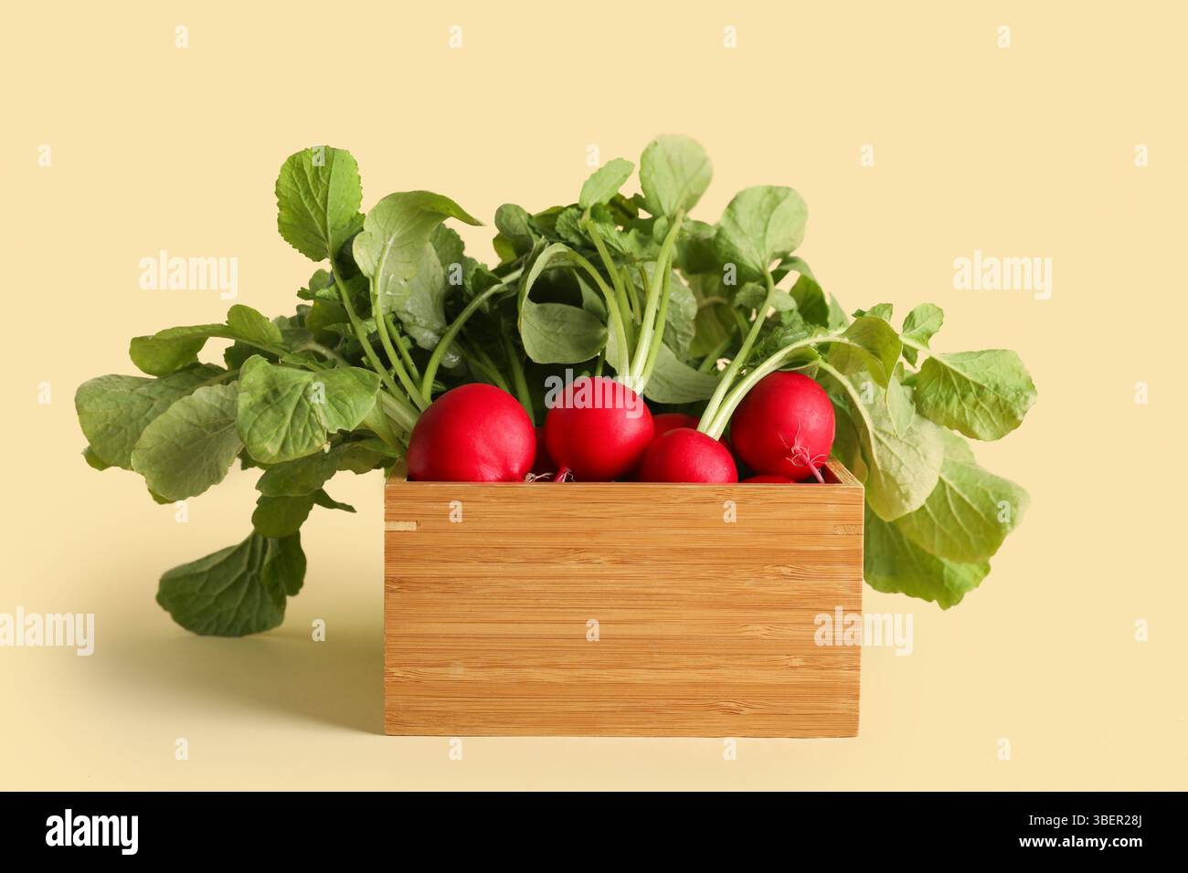 Box of ripe radish on beige background Stock Photo - Alamy