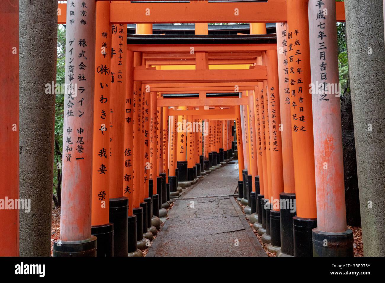 Red traditional Japanese temple torii gates architecture at the Fushimi ...