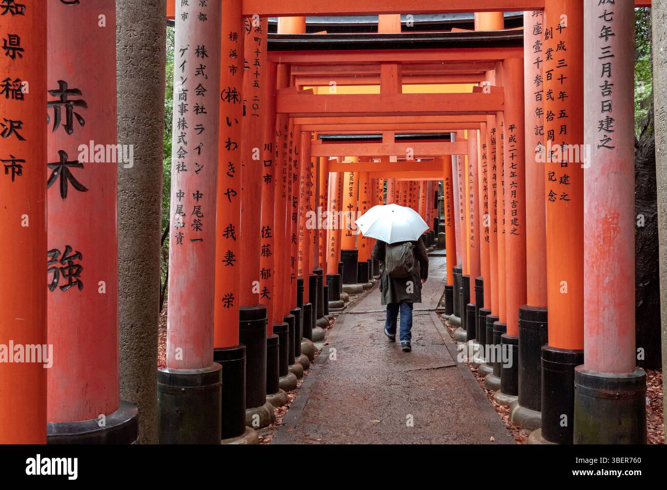 Red traditional Japanese temple torii gates architecture at the Fushimi ...